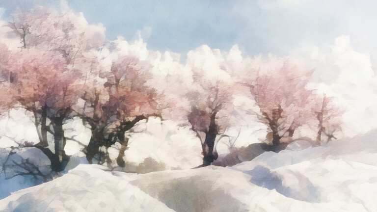 Winter Blossom