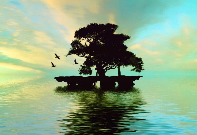 Top 14 Most Beautiful Favicons ⭐ Superdense